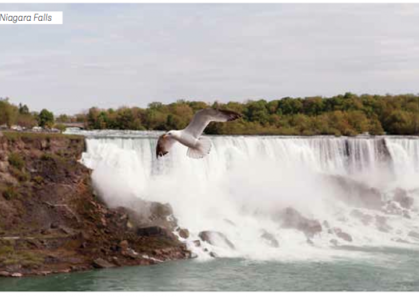 EC Toronto English School (Toronto, Ontario, Canada)