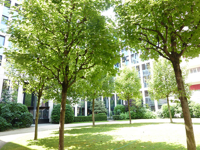 IFM University - Institute of Finance and Management (Geneva ...