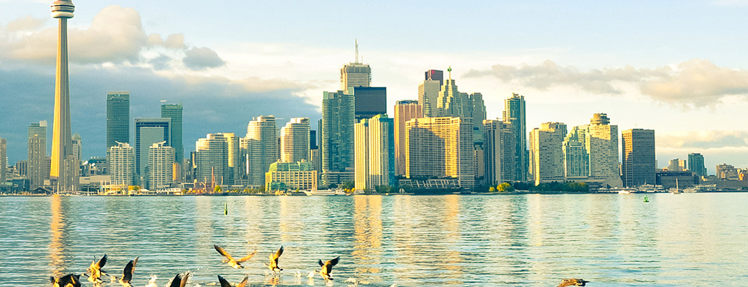 LSI Language School in Toronto (Toronto, Ontario, Canada) - apply for a ...