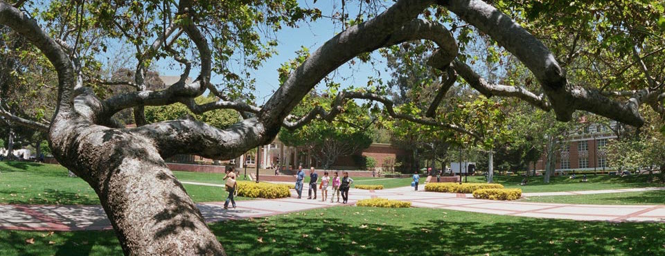 UCLA Summer Camp (University of California, Los Angeles) (Los Angeles ...