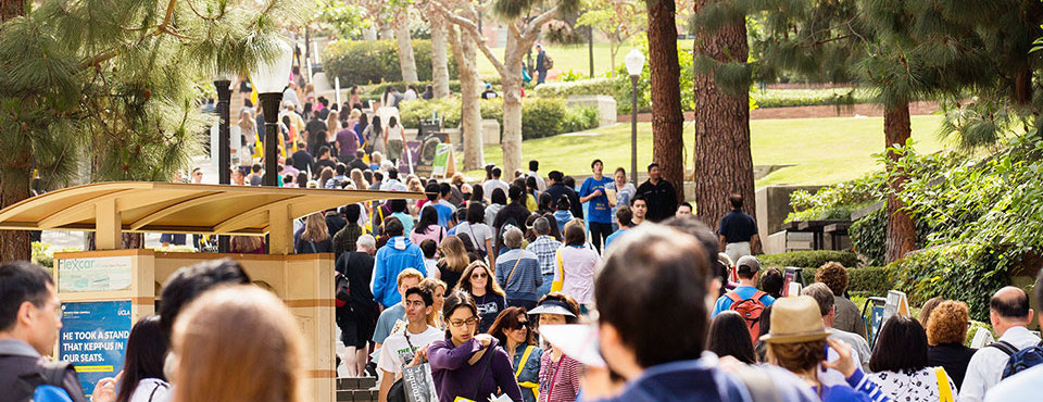 UCLA Summer Camp (University of California, Los Angeles) (Los Angeles ...