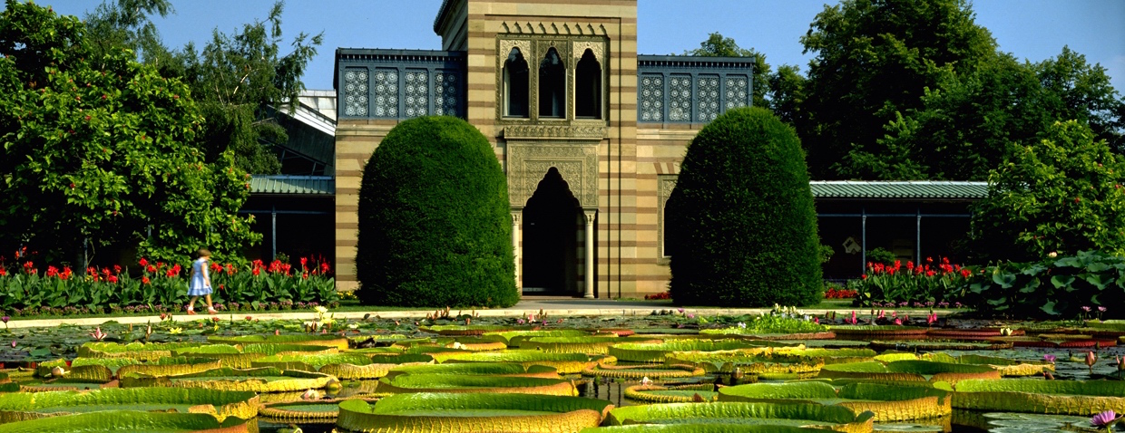 Anglo-German Institute AGI (Stuttgart, Germany) - apply, prices ...