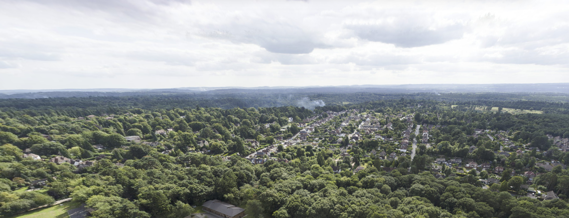 Summer camp PGL Marchants Hill (Surrey, United Kingdom) - apply for a ...