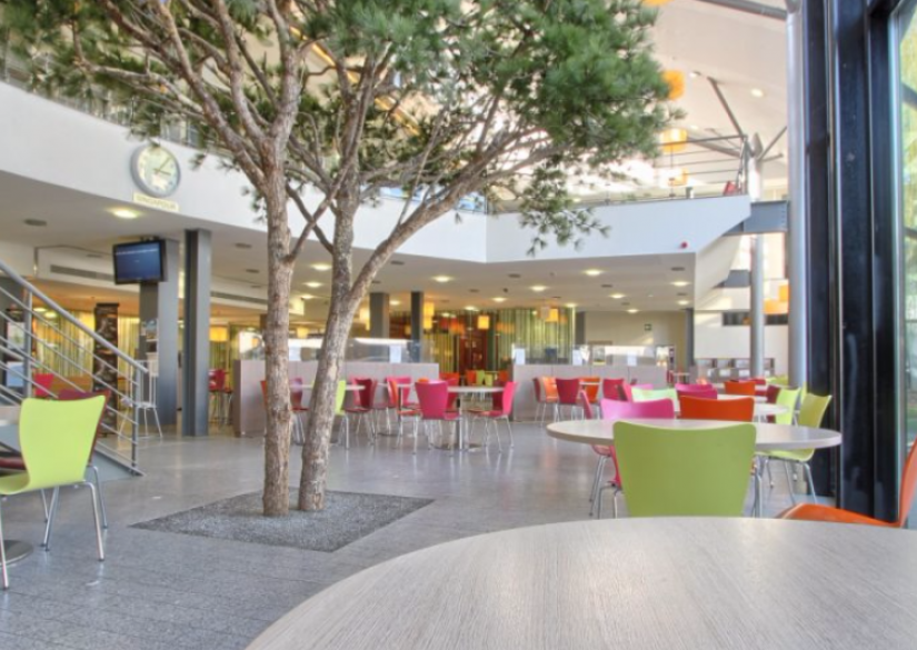 ESSEC Business School Higher School of Economic and Commercial Sciences ...