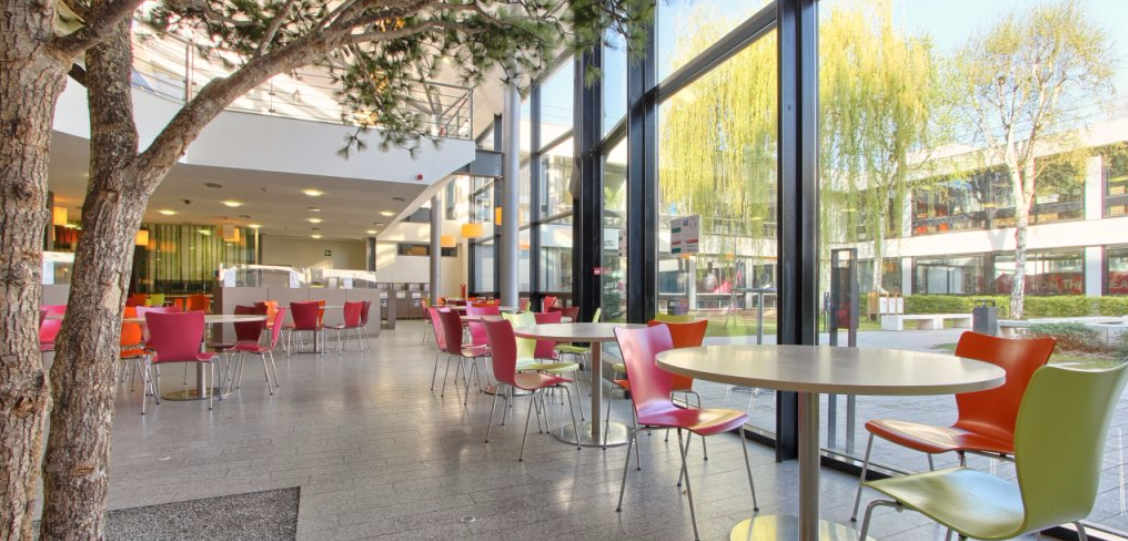 ESSEC Business School Higher School of Economic and Commercial Sciences ...