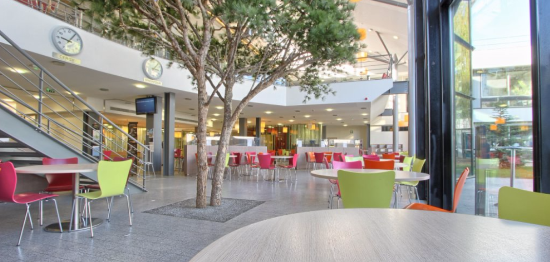 ESSEC Business School Higher School of Economic and Commercial Sciences ...