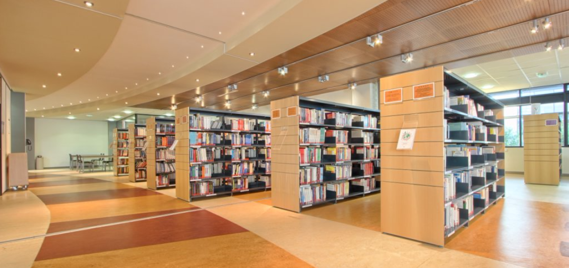 ESSEC Business School Higher School of Economic and Commercial Sciences ...