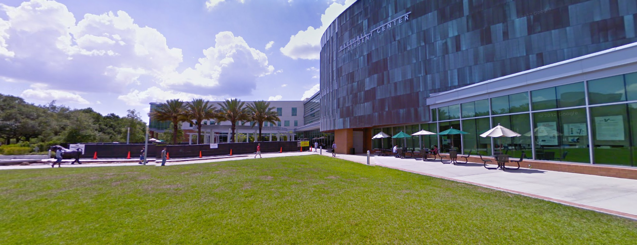 INTO University of South Florida (Tampa, Florida, USA) - apply, prices ...