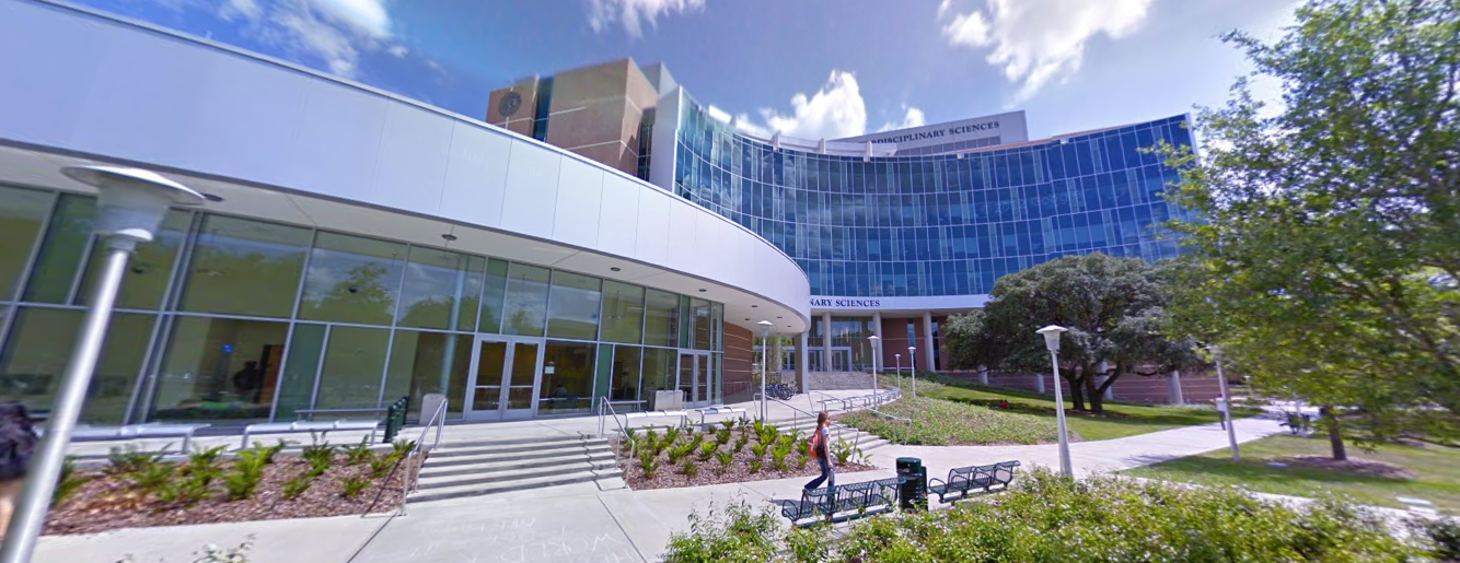 INTO University of South Florida (Tampa, Florida, USA) - apply, prices ...