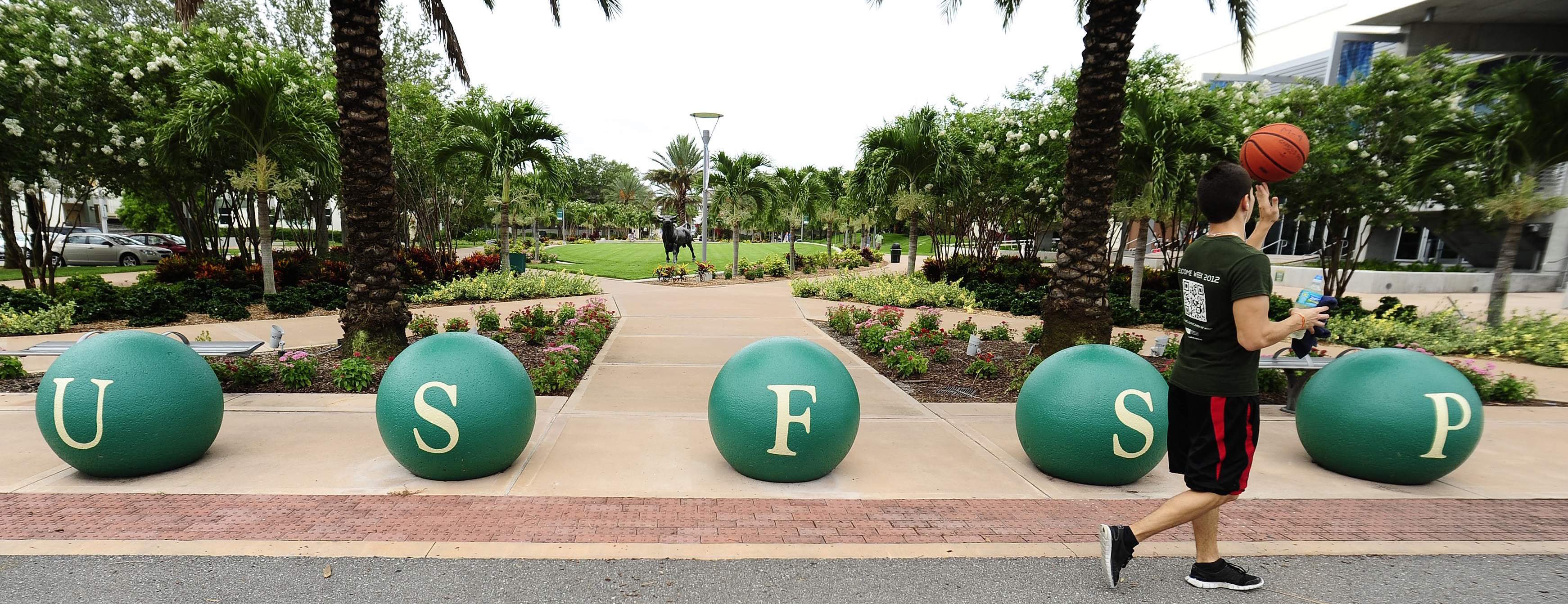 INTO University of South Florida (Tampa, Florida, USA) - apply, prices ...