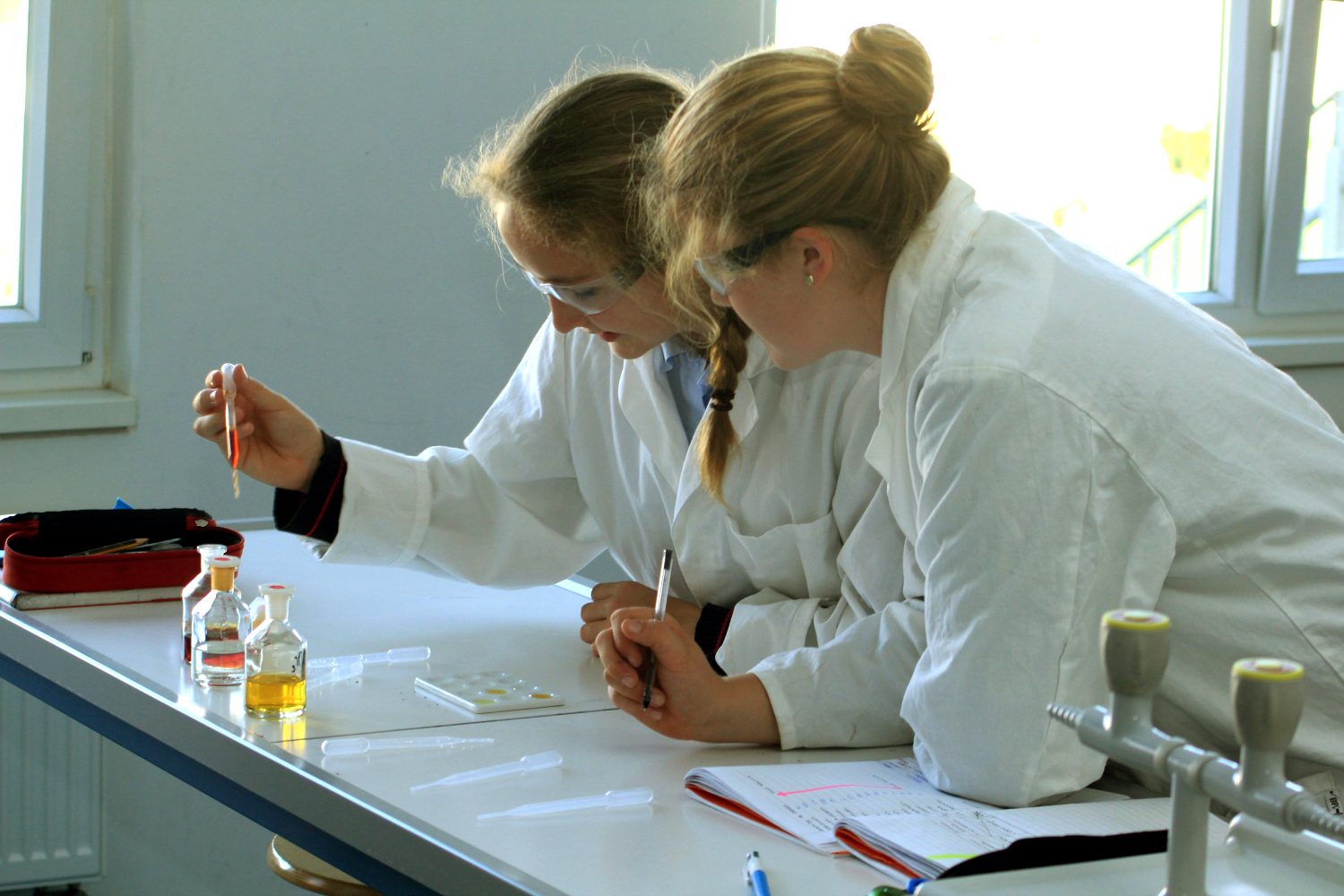 St. George's International School in Cologne (Cologne, Germany) - apply ...