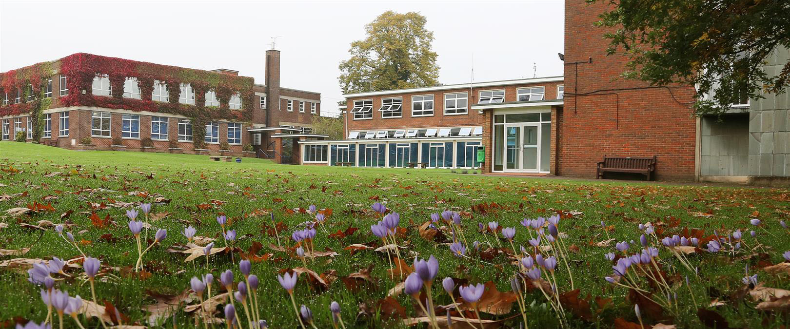 Ashford School (Ashford, Kent, United Kingdom) - apply, prices, reviews ...