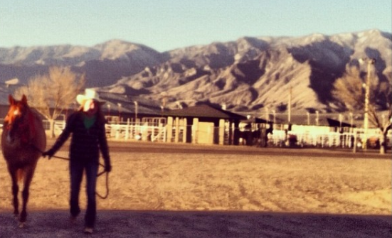 The Orme Private School (Mayer, Arizona, USA) - apply, prices, reviews ...