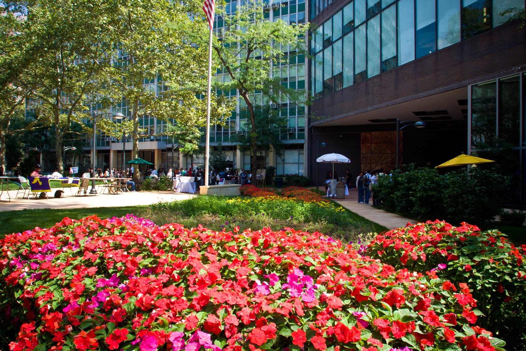 LIU Brooklyn University (New York, USA) - apply, prices, reviews | Smapse