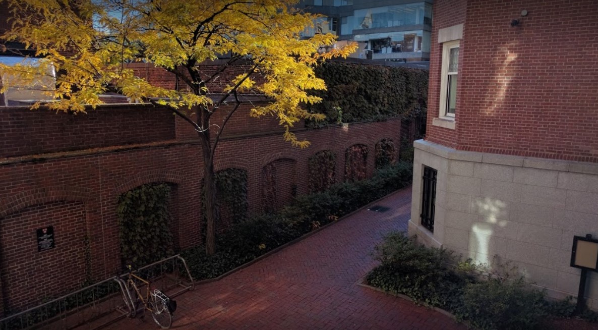 Harvard Summer School (Boston, Massachusetts, USA) - apply for a camp ...