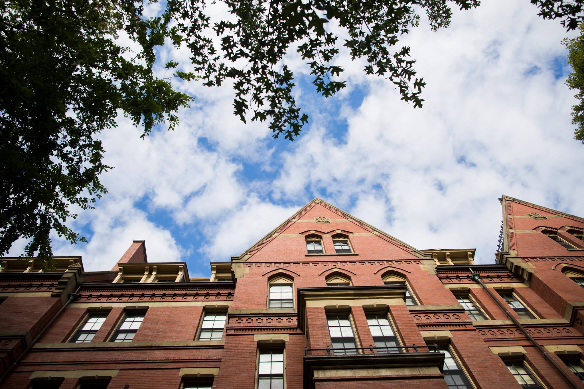 Harvard University Summer Camp (Cambridge, Massachusetts, USA) - apply ...