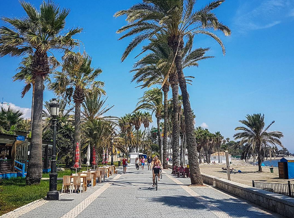 Marbella International University Centre (Marbella, Spain) - apply ...