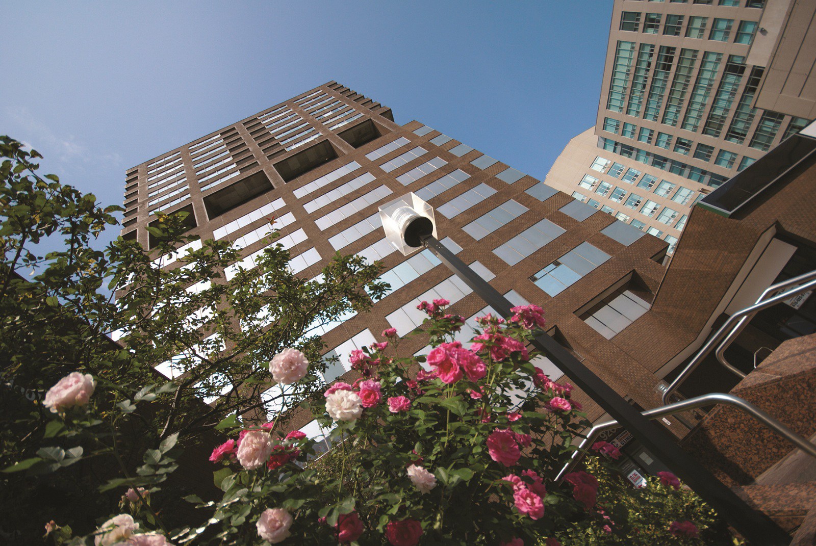 ILAC Toronto Summer Junior Camp (Toronto, Ontario, Canada) - apply for ...