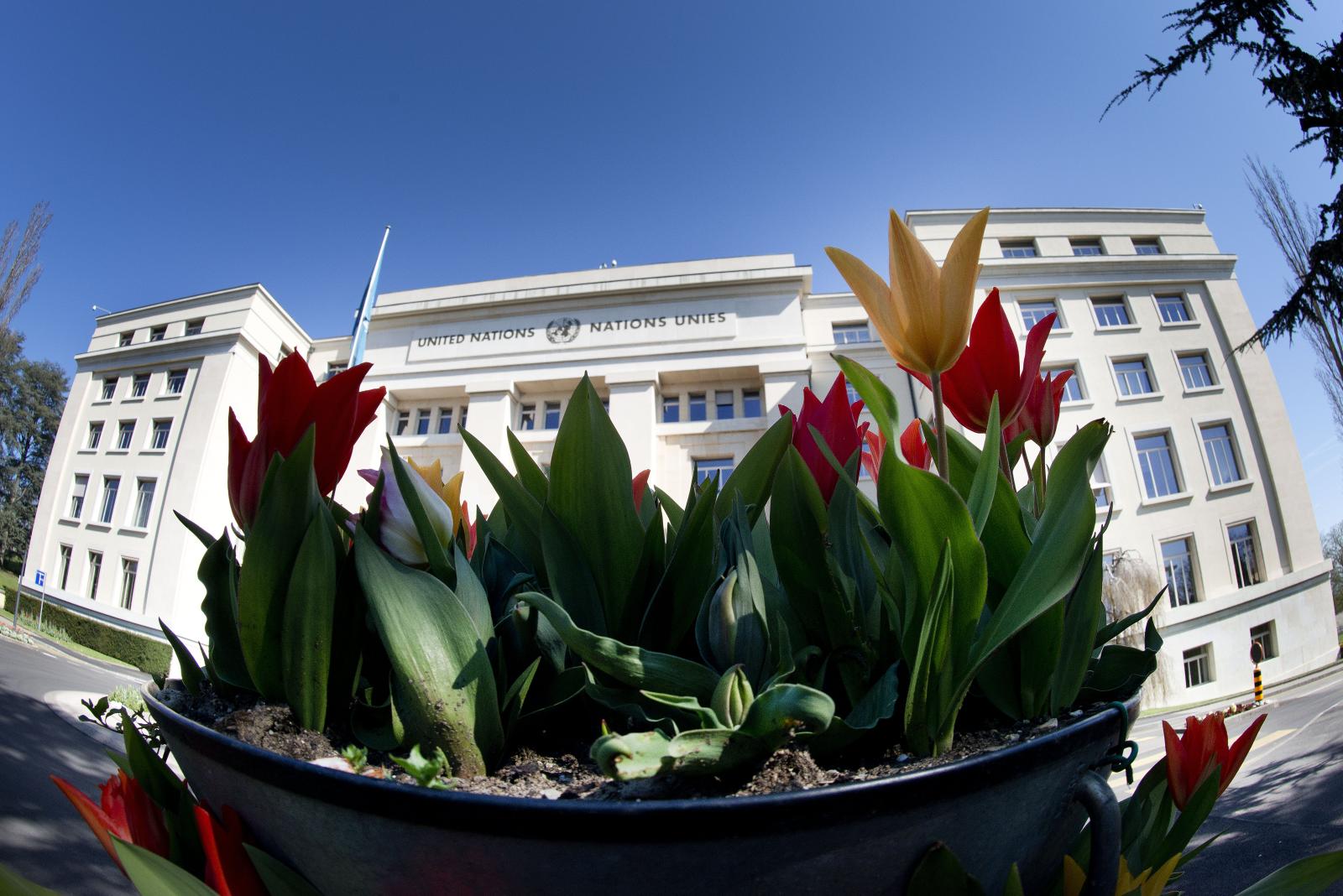 International University Geneva IUG Geneva (Geneva, Switzerland ...