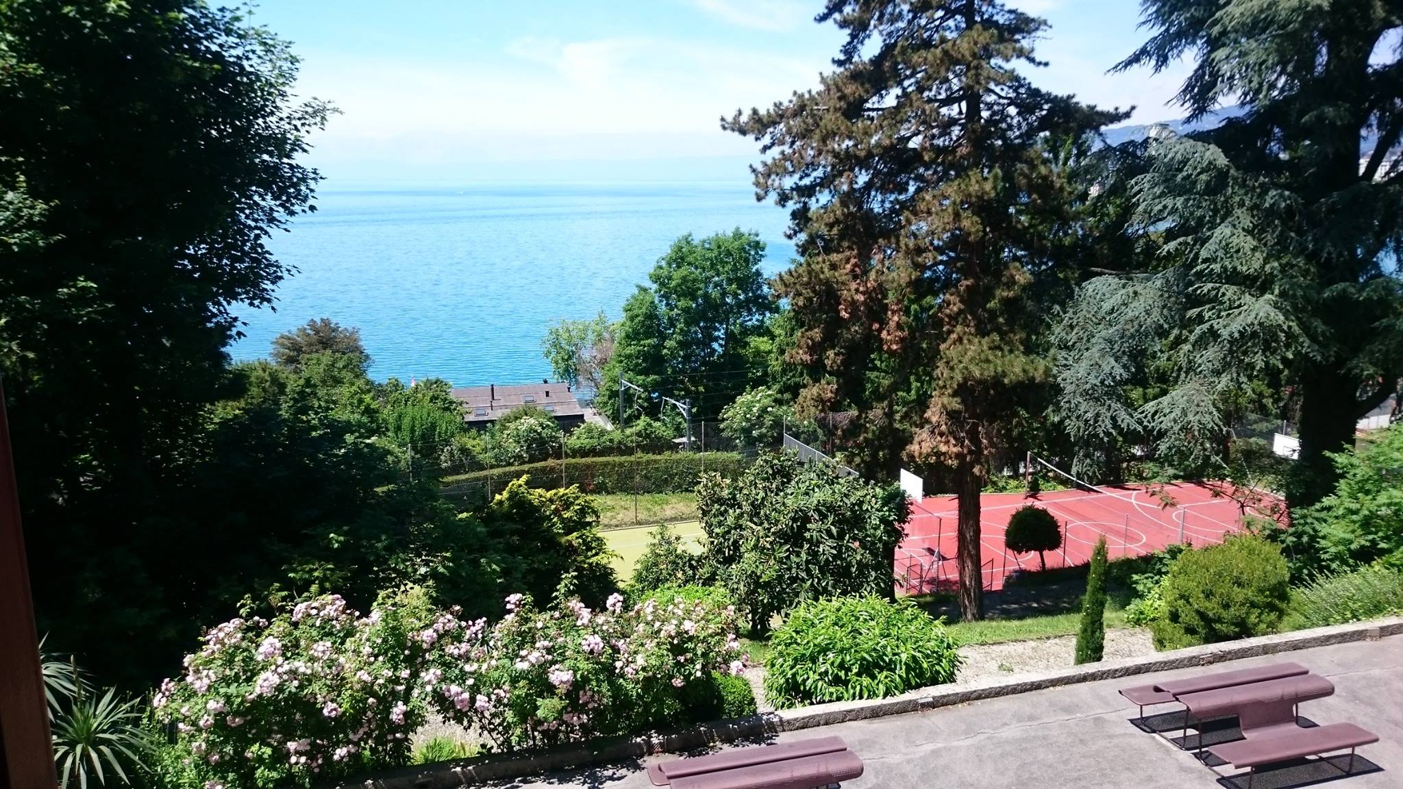 Institut Monte Rosa Summer Camp (Montreux, Switzerland) - apply for a ...