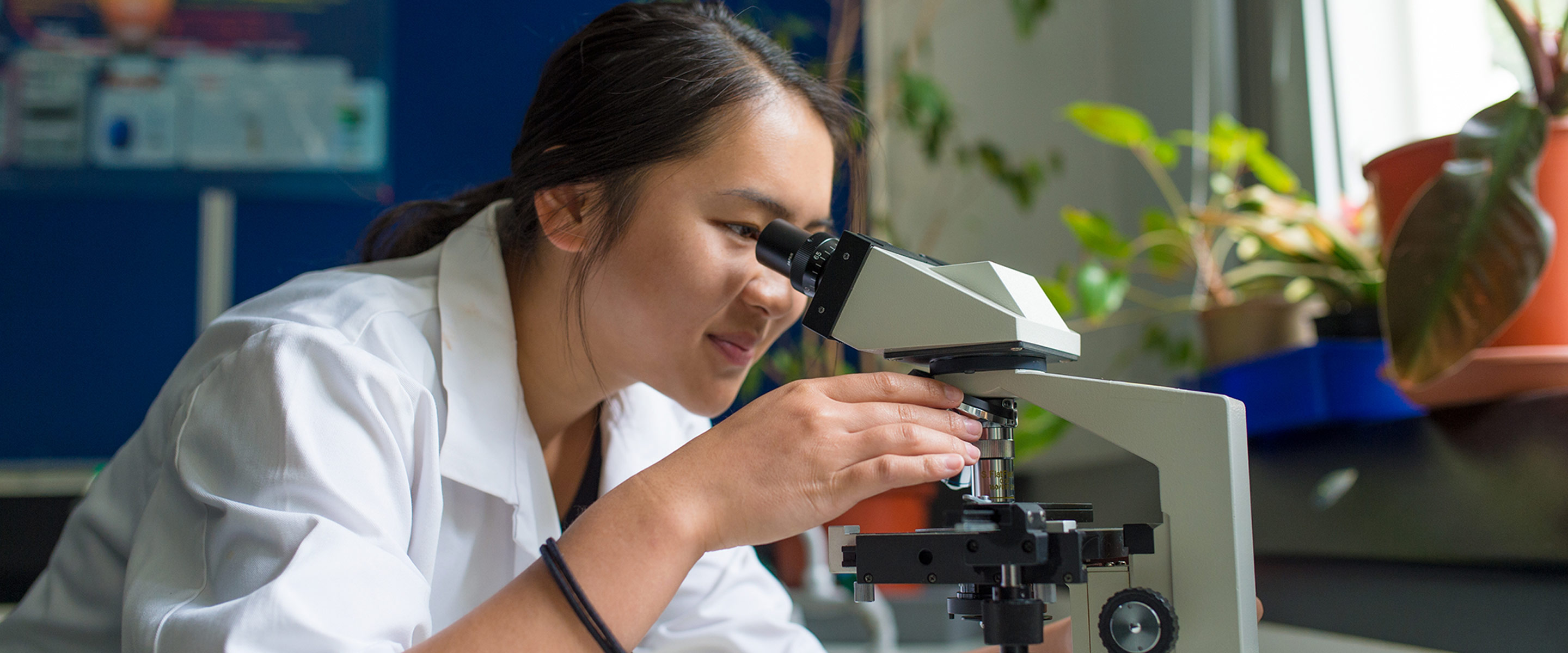 Senior College ACG (Auckland, New Zealand) - apply, prices, reviews ...