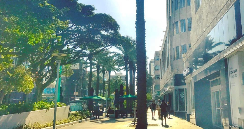 New York Film Academy South Beach Miami (Miami, Florida, USA) - apply ...