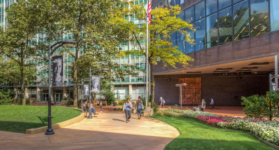 LIU Brooklyn University (New York, USA) - apply, prices, reviews | Smapse