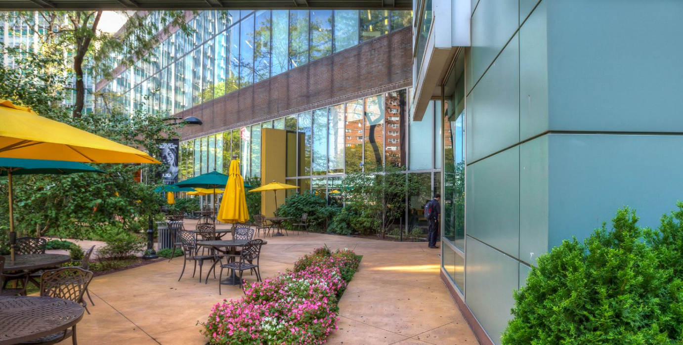 LIU Brooklyn University (New York, USA) - apply, prices, reviews | Smapse