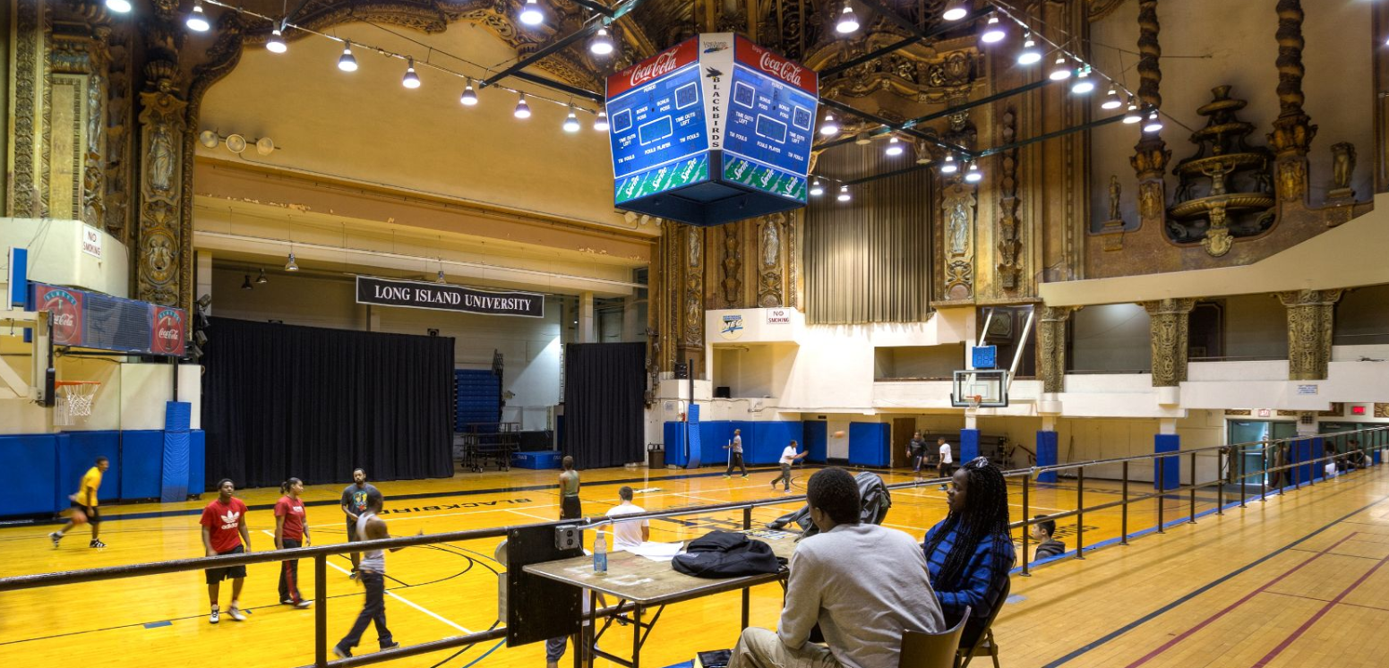 LIU Brooklyn University (New York, USA) - apply, prices, reviews | Smapse