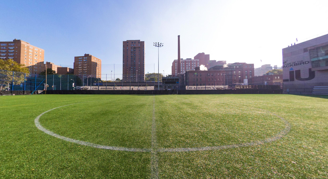 LIU Brooklyn University (New York, USA) - apply, prices, reviews | Smapse