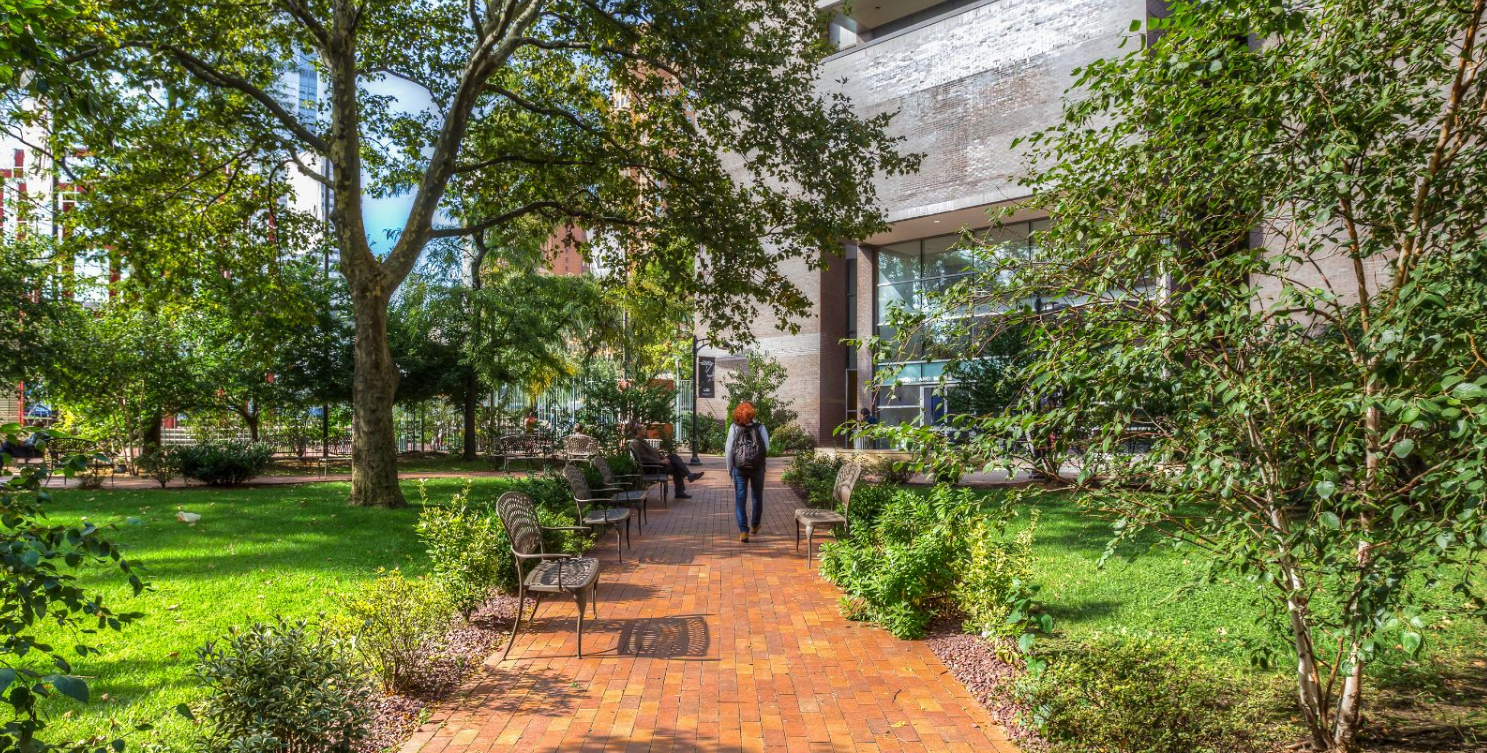 LIU Brooklyn University (New York, USA) - apply, prices, reviews | Smapse