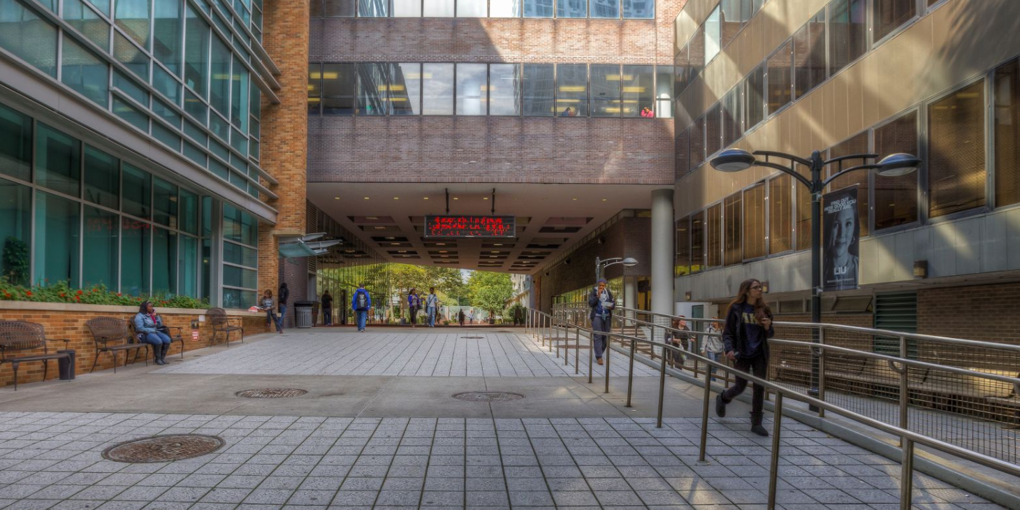 LIU Brooklyn University (New York, USA) - apply, prices, reviews | Smapse