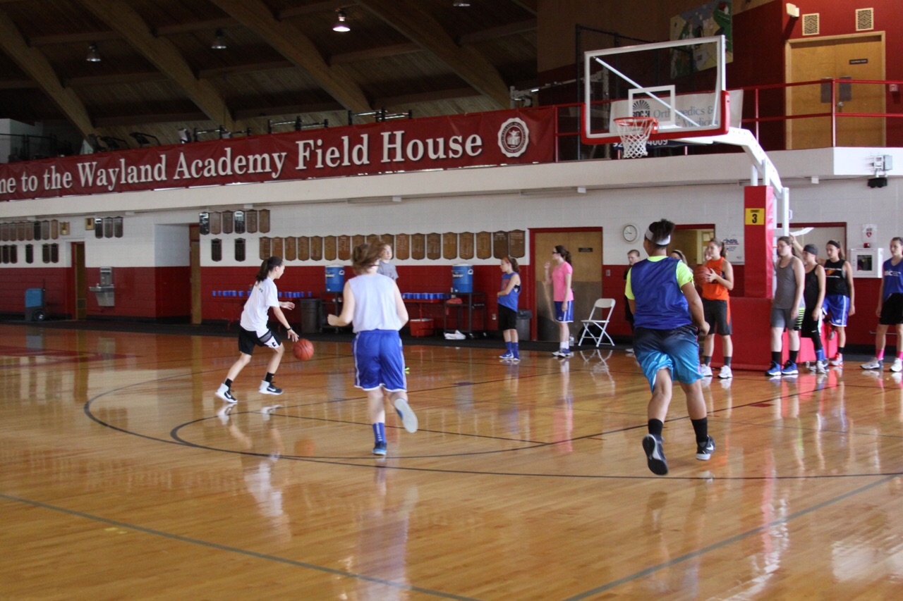 Wayland Academy Private School (Chicago, USA) - apply, prices, reviews ...