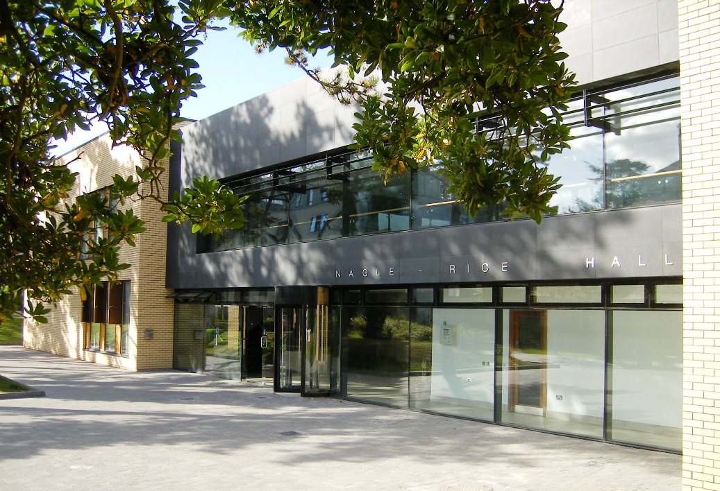 Marino Institute of Education Dublin Summer Camp Emerald Cultural ...