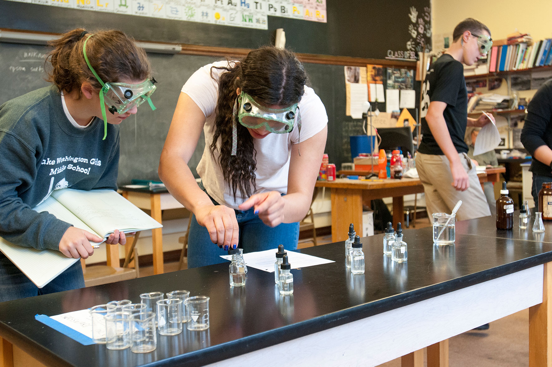 The Northwest School (Seattle, USA) - apply for a camp, prices, reviews ...