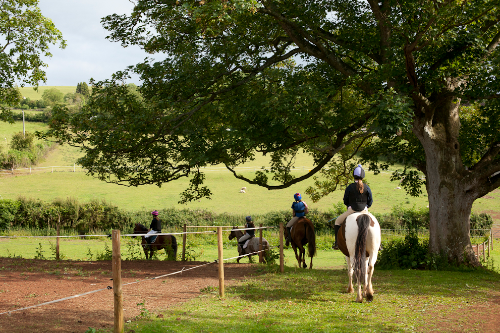 Sidcot School (Winscombe, United Kingdom) - apply for a camp, prices ...