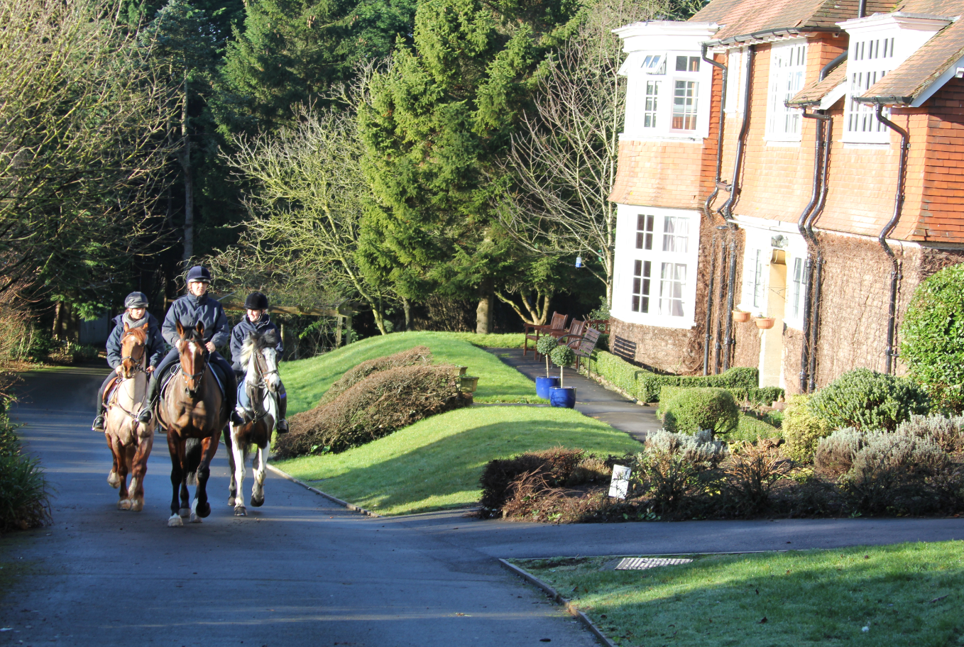 Sidcot School (Winscombe, United Kingdom) - apply for a camp, prices, reviews | Smapse