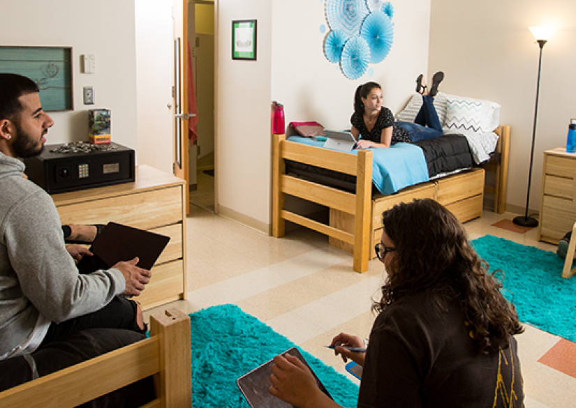 Adelphi University (New York, USA)