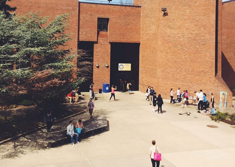 Adelphi University (New York, USA)