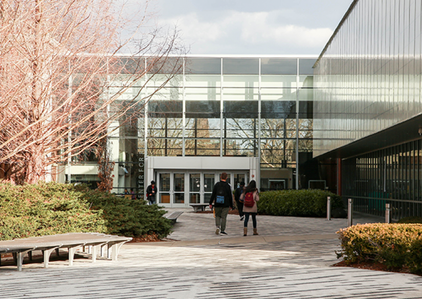 Adelphi University (New York, USA)