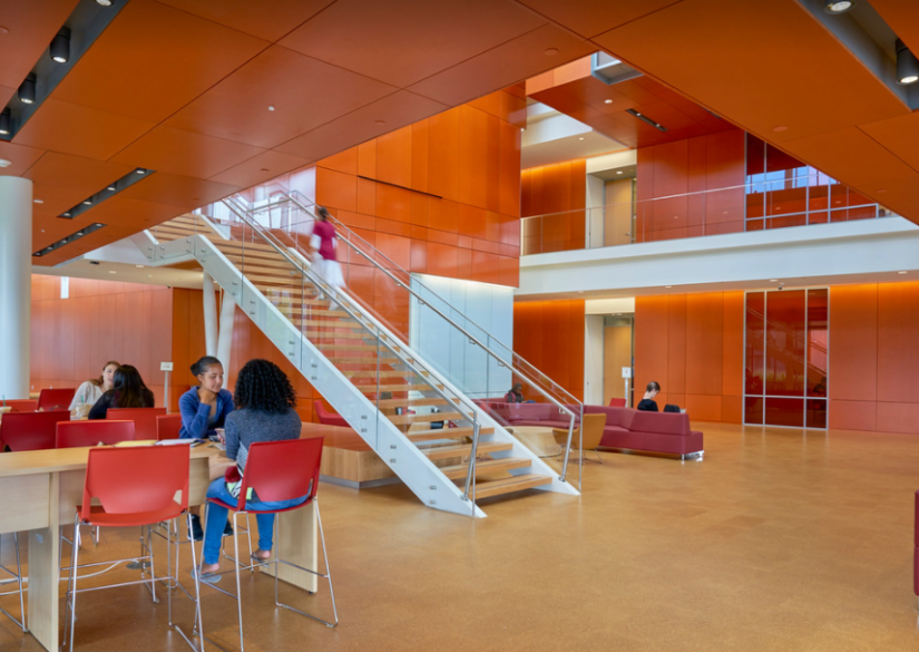 Adelphi University (New York, USA)