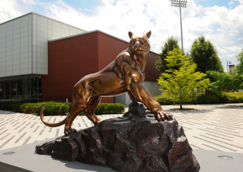 Adelphi University (New York, USA)