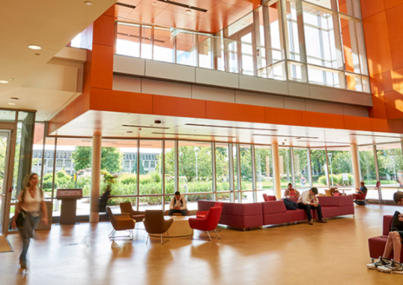 Adelphi University (New York, USA)