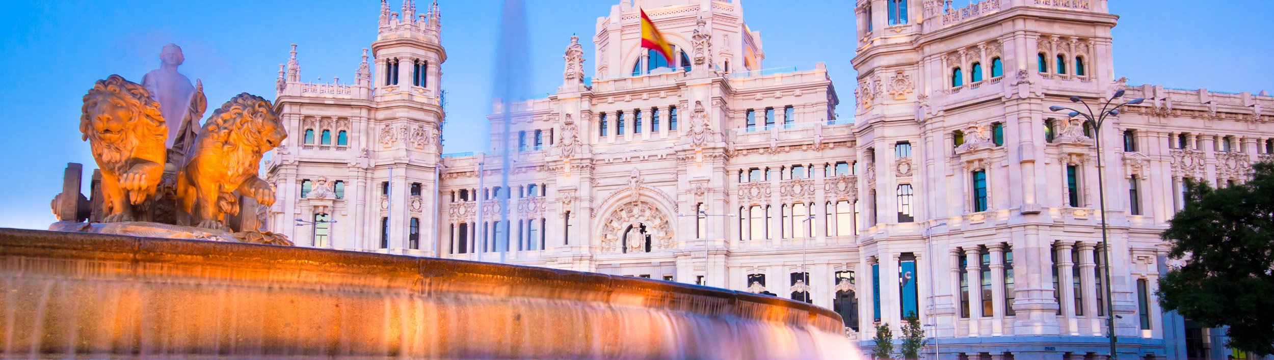 Saint Louis University Madrid (Madrid, Spain) - apply, prices, reviews ...