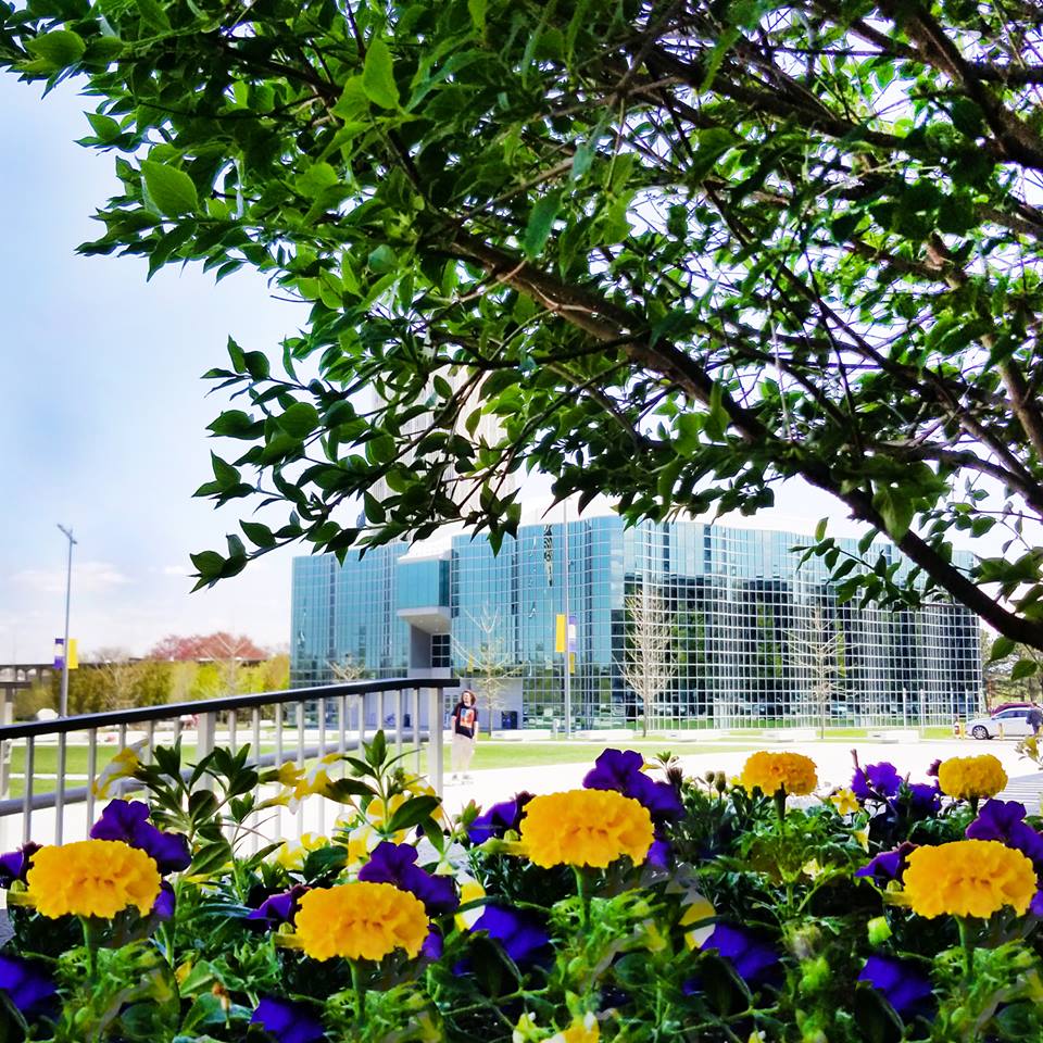 State University of New York at Albany (New York, USA) - apply, prices ...