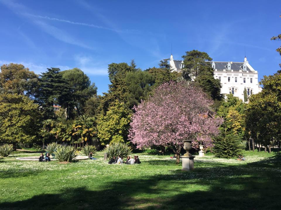 University of Nice Summer Camp (Nice, France) - apply for a camp ...