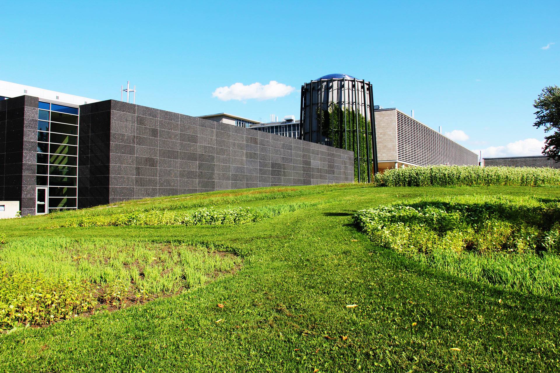 Laval University (UL) (Quebec City, Canada) - apply, prices, reviews ...