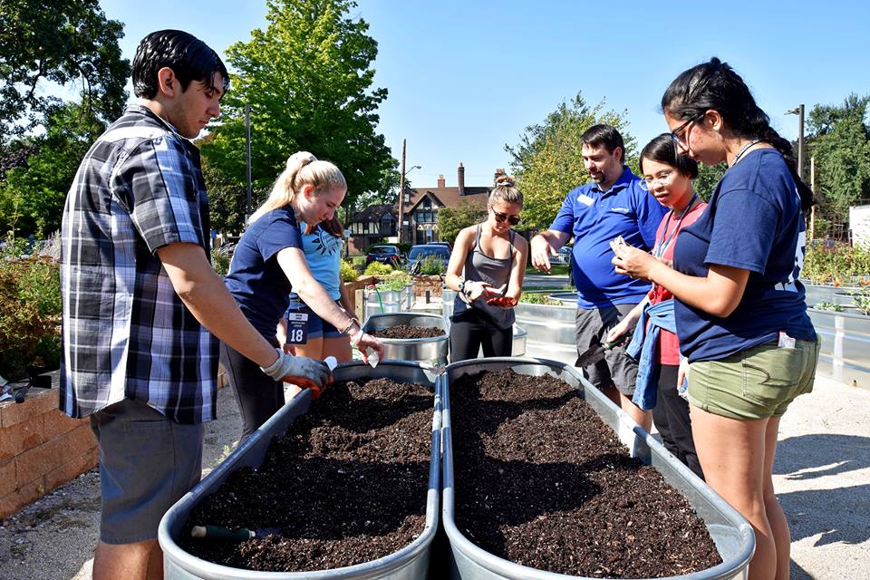 Case Western Reserve University (CWRU) (Cleveland, USA) - apply, prices ...