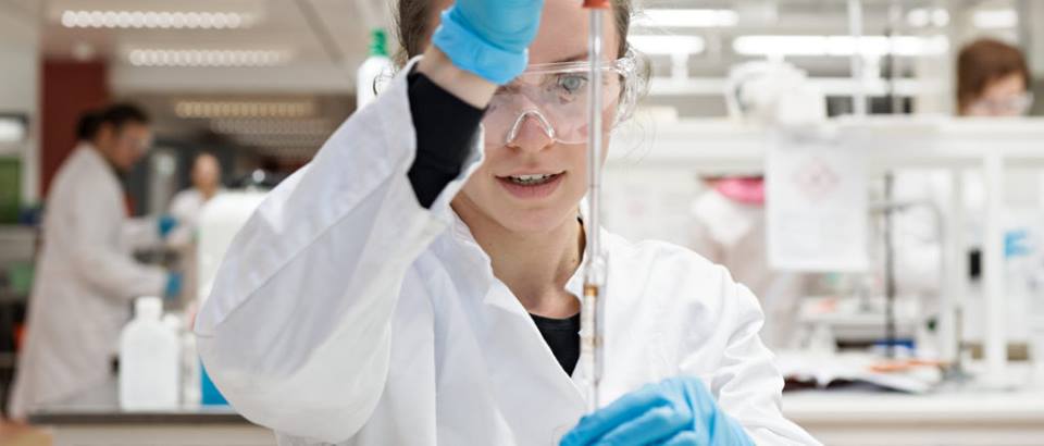 University of Eastern Finland (UEF) (Joensuu, Finland) - apply, prices ...