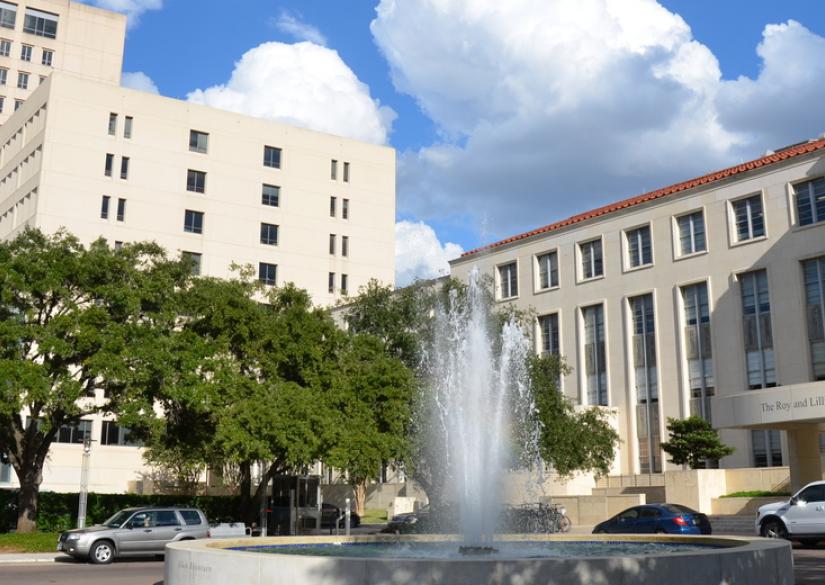 Baylor College of Medicine (BCM) (Houston, Texas, USA)